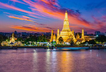 SCARS 2024 congress | Events | Alma